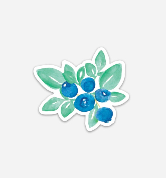 Blueberry Sticker Fruit Sticker Summer Sticker Maine - Etsy