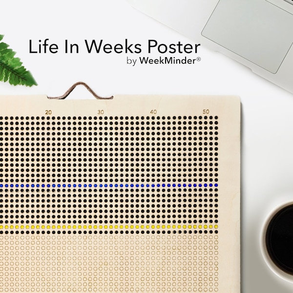 Life in Weeks Poster - Etsy