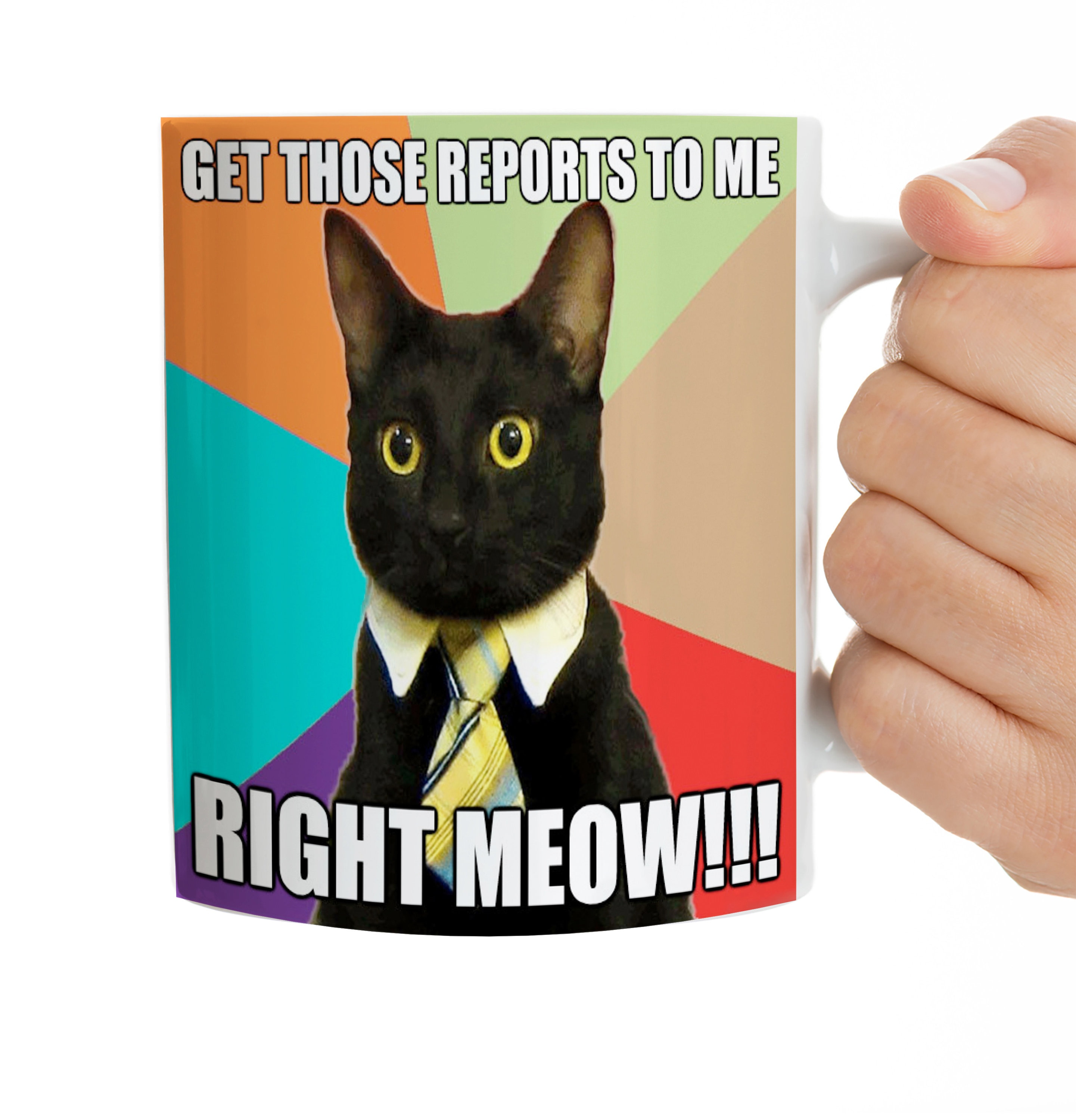 Business Cat Meme Right Meow