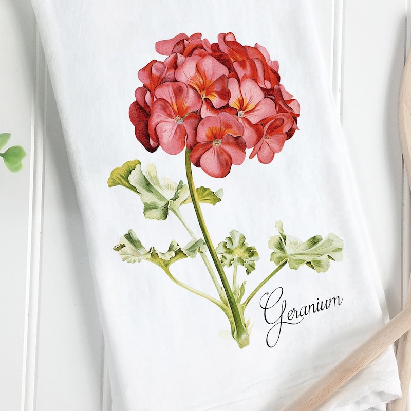 Geranium Print - Etsy