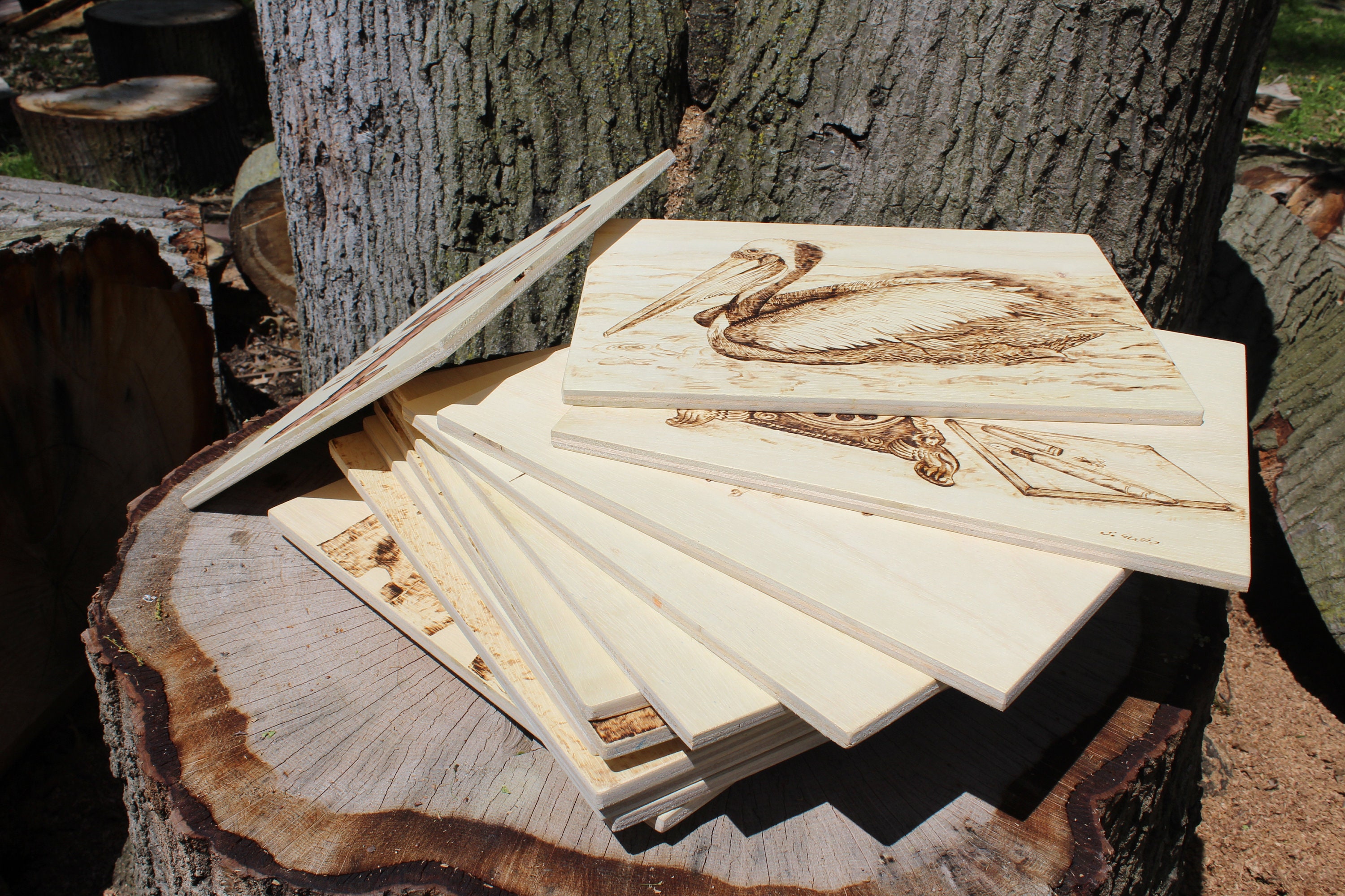 Big Bird - Pyrography - Etsy