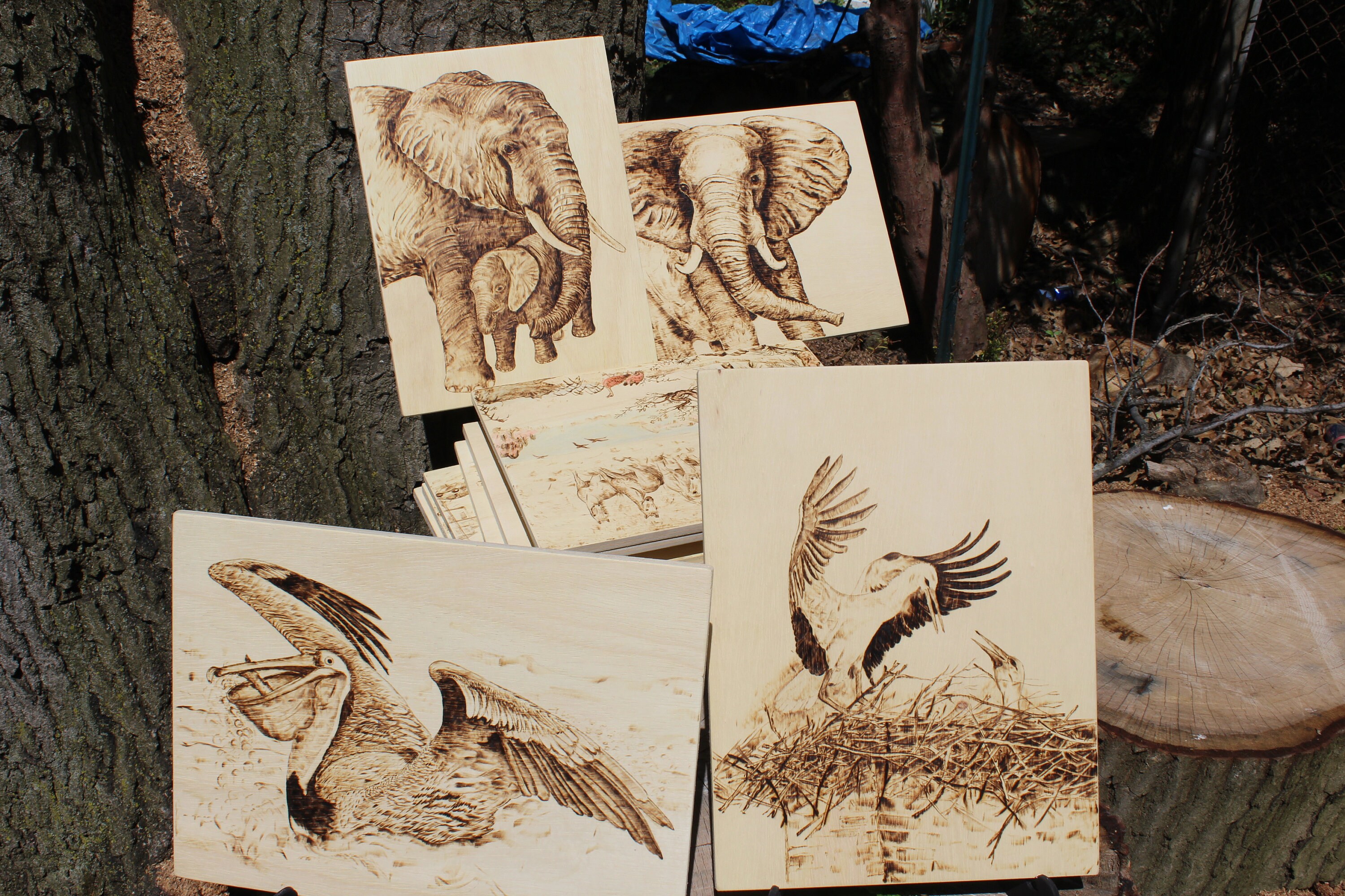 Big Bird - Pyrography - Etsy