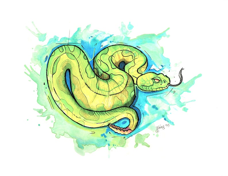 Snake art print watercolor snake | Etsy