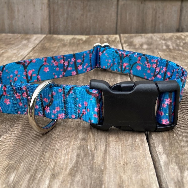 Colorful Dog Collar - Etsy