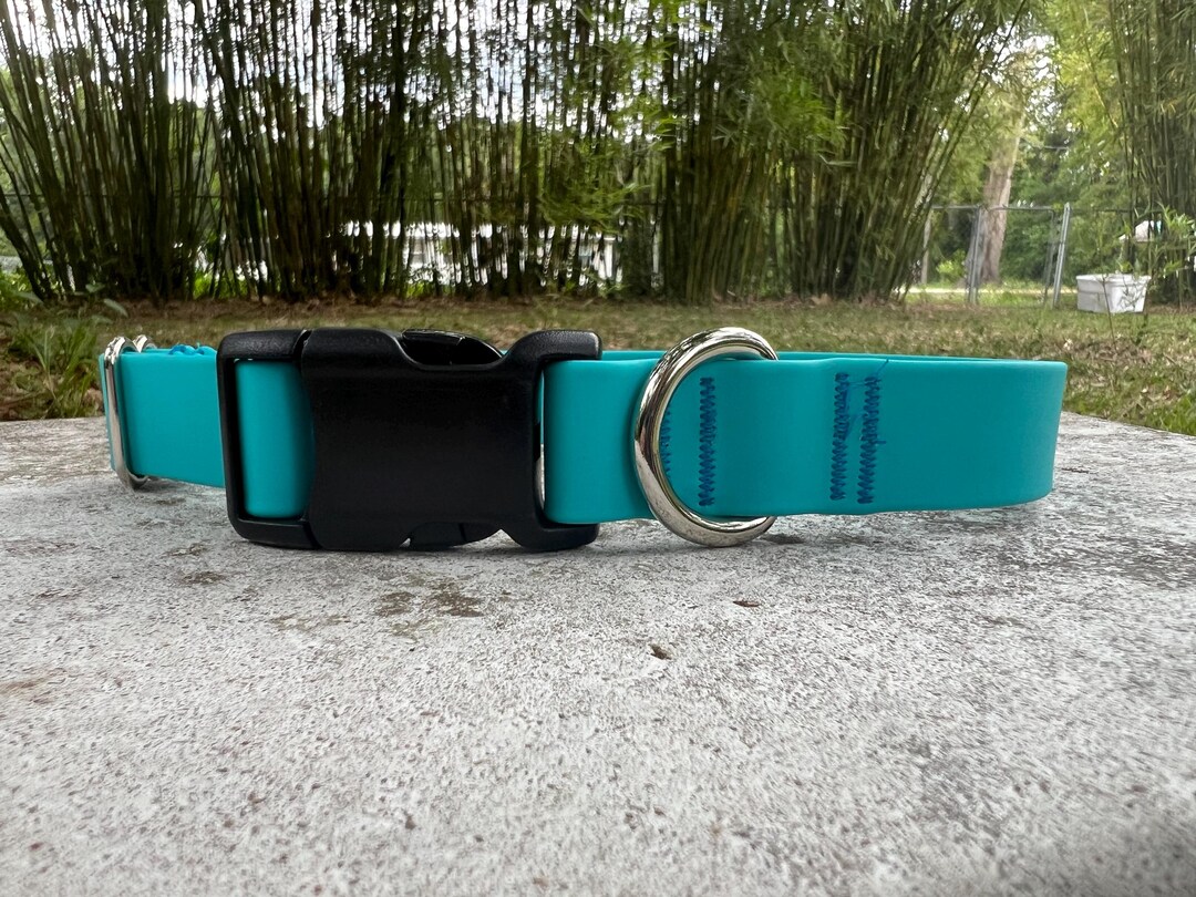 1 Inch Waterproof Dog Collar, Summer Dog Collar, Beach Collar ...