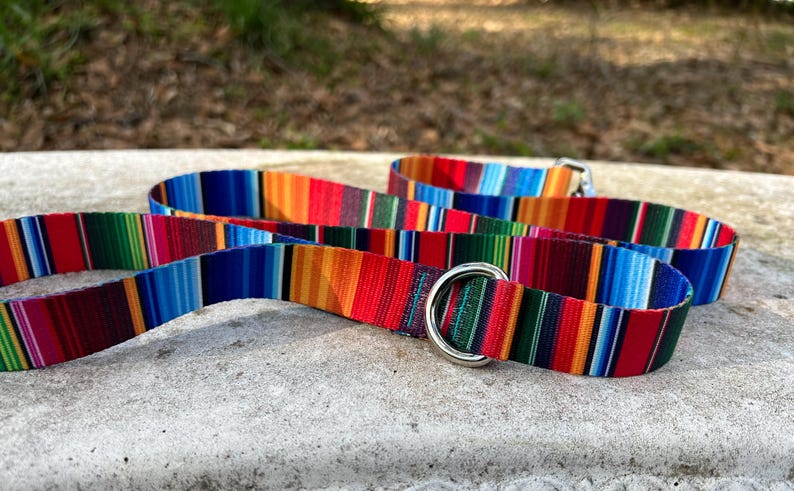 4 Foot or 6 Foot or 8 Foot Dog Leash, Bold Striped Dog Leash, Traffic ...