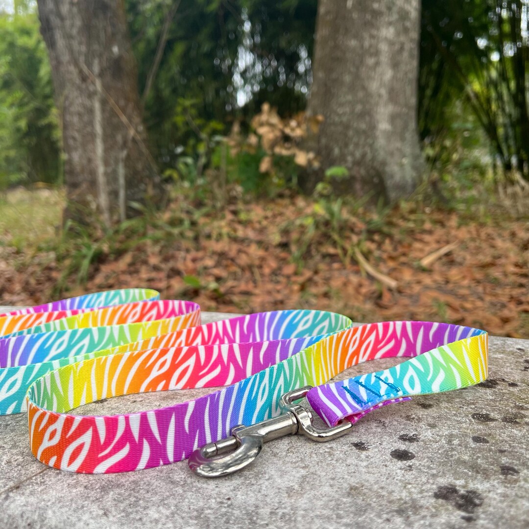 4 Foot or 6 Foot or 8 Foot Dog Leash, Neon Rainbow Zebra Dog Leash ...