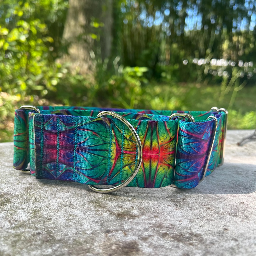 Rainbow Alien Martingale Dog Collar: Sighthound, Greyhound, Whippet - Etsy