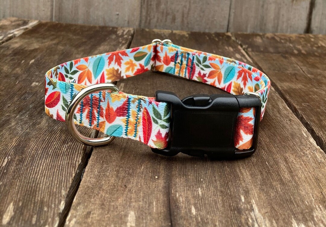 Extra Large Fall Leaves Dog Collar Adjustable Autumn Dog Collar for ...