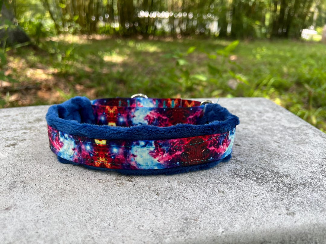 1 Inch Wide Soft Galaxy Padded Martingale Dog Collar, Slip on Padded ...