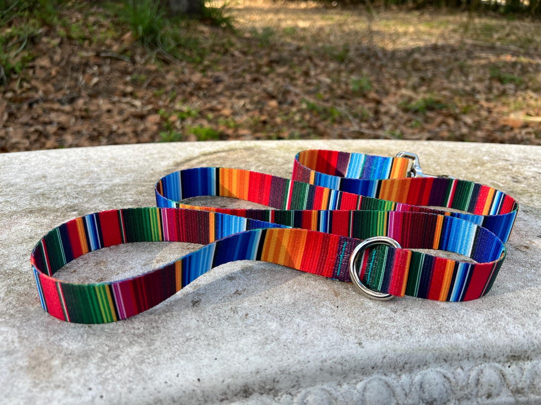 4 Foot or 6 Foot or 8 Foot Dog Leash, Bold Striped Dog Leash, Traffic ...