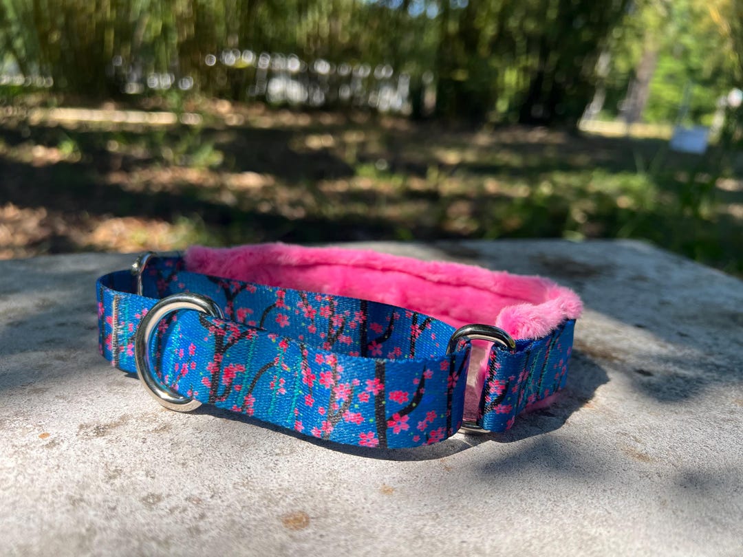 1 Inch Wide Soft Cherry Blossom Spring Padded Martingale Dog Collar ...