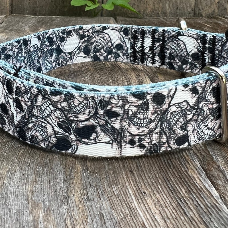 Skull Dog Collar - Etsy