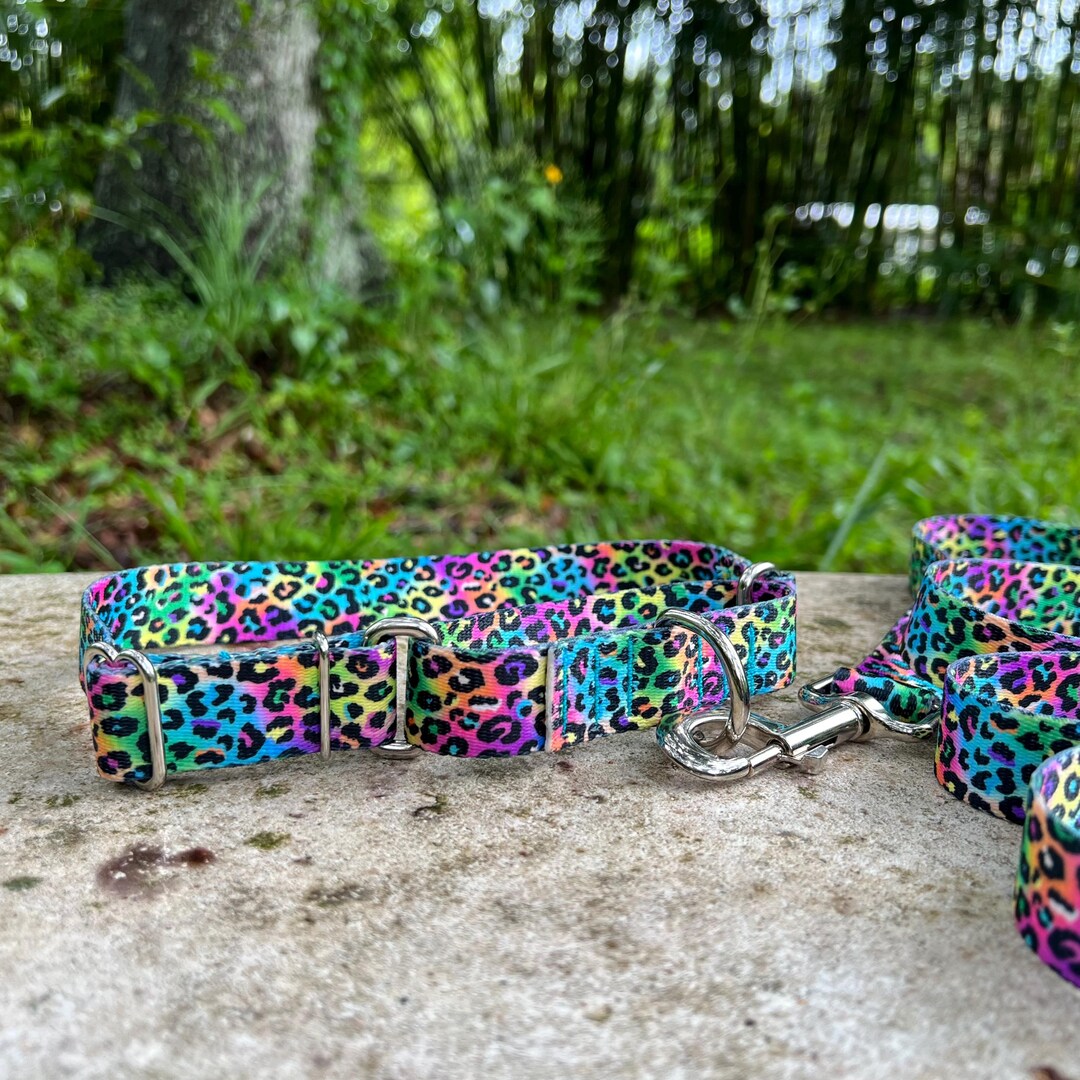 Neon Leopard Print Martingale Dog Collar & Leash Set: USA Made - Etsy