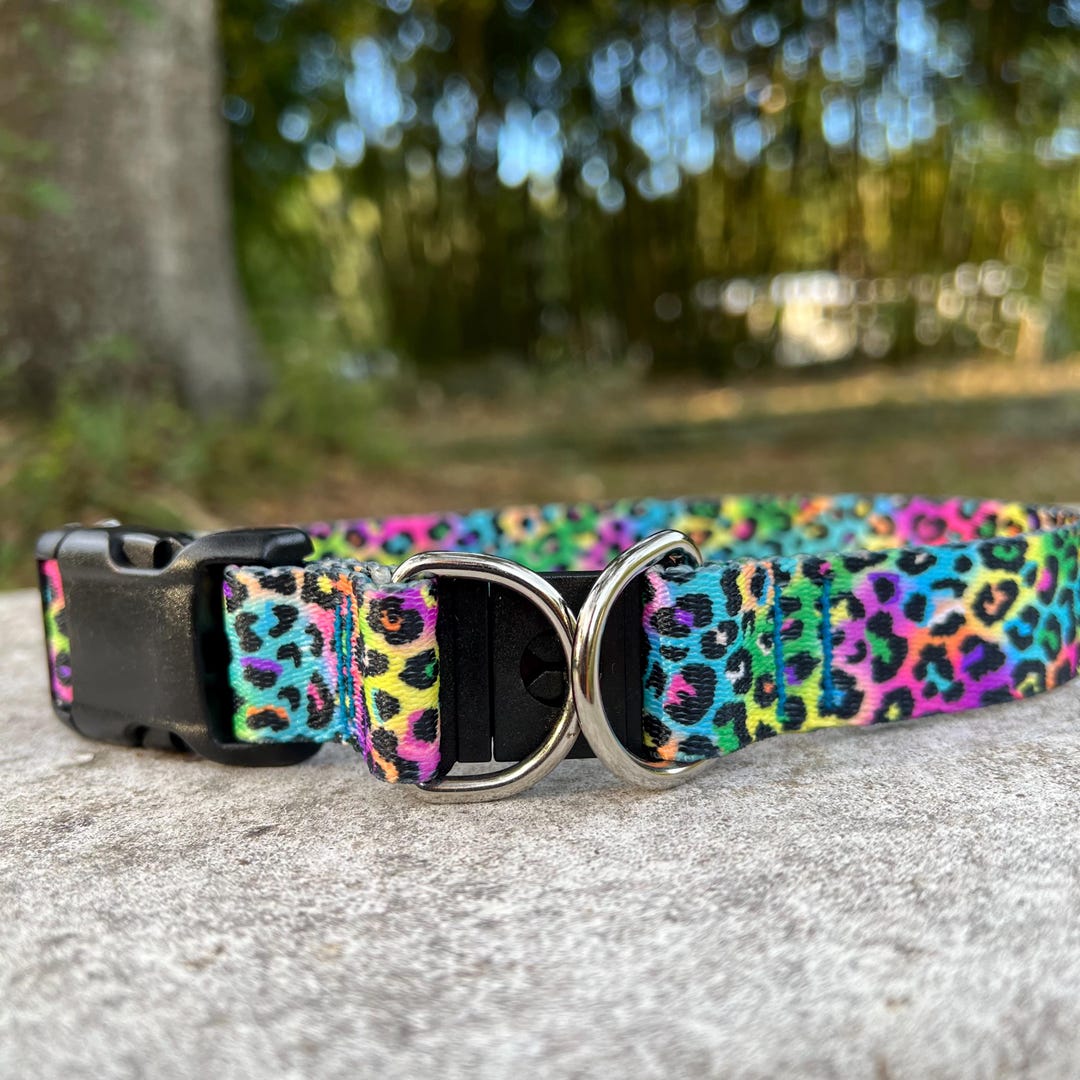 Neon Leopard Print Rainbow Dog Breakaway Collar: Safety Release, 1 Inch ...