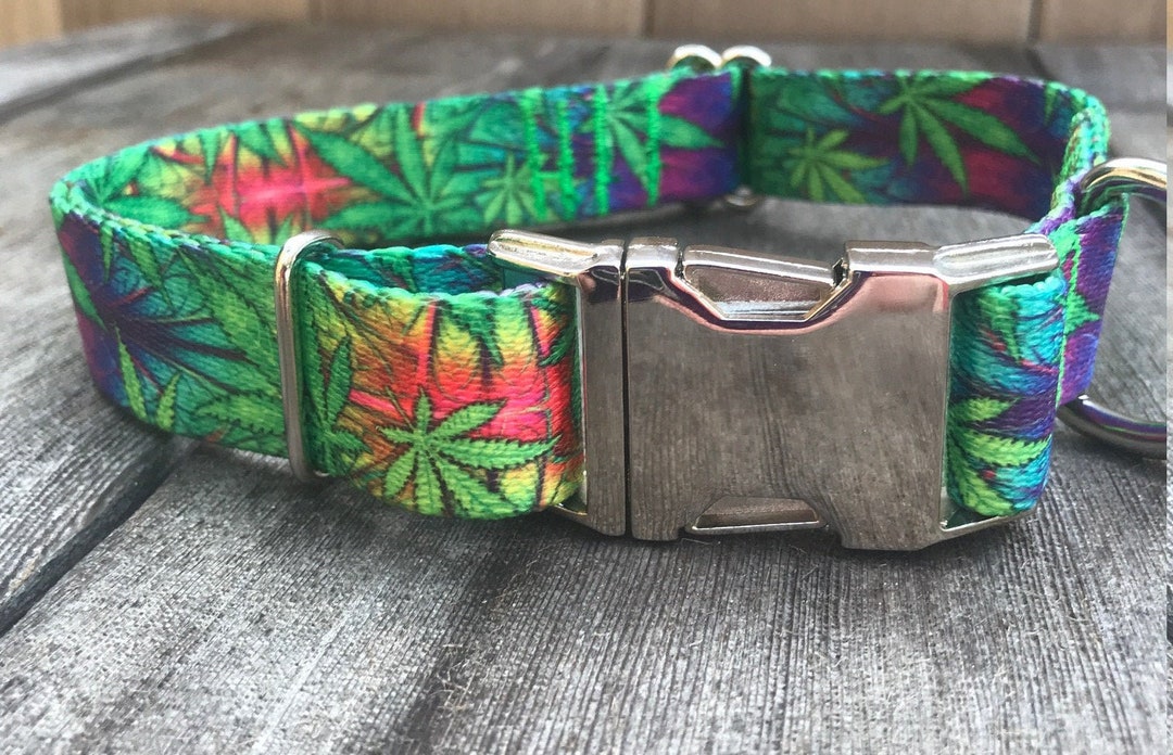 Weed 420 Dog Collar With Metal Buckle, 1 Inch Wide Pot Leaf Dog Collar ...