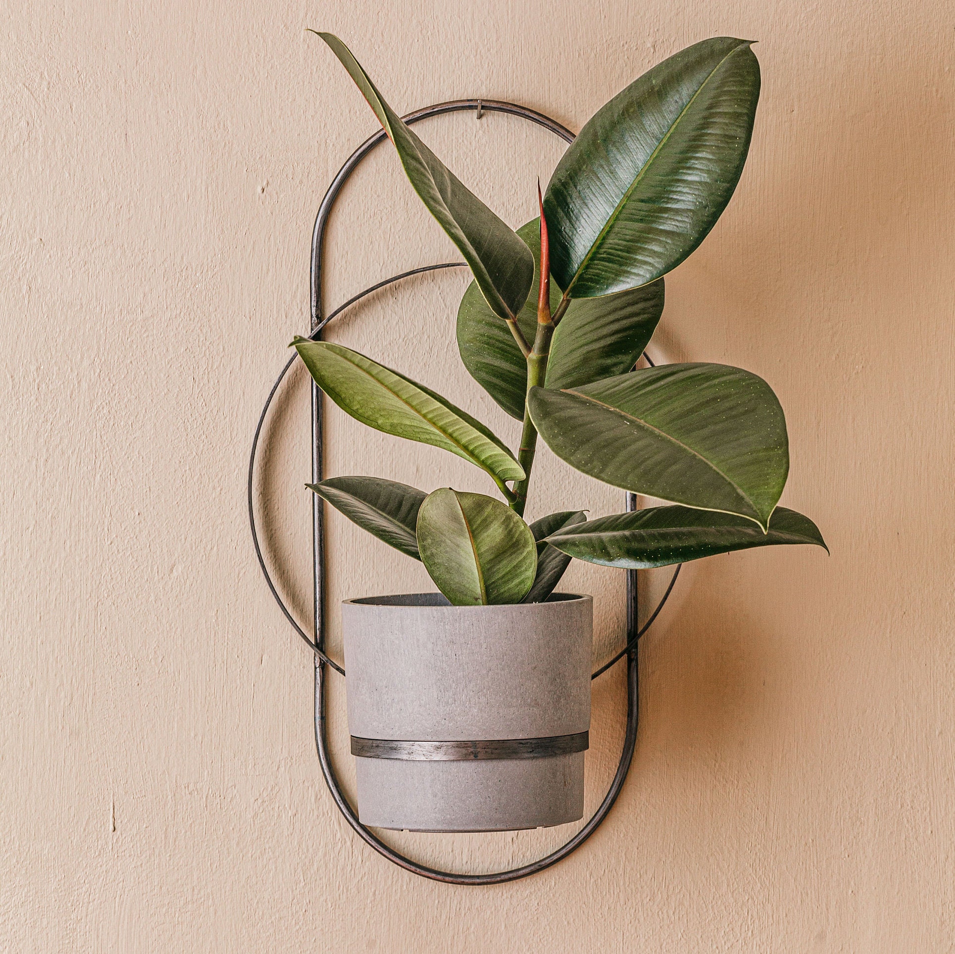 Hand Made Wall Planter Round Arch Style Set Vertical Garden - Etsy