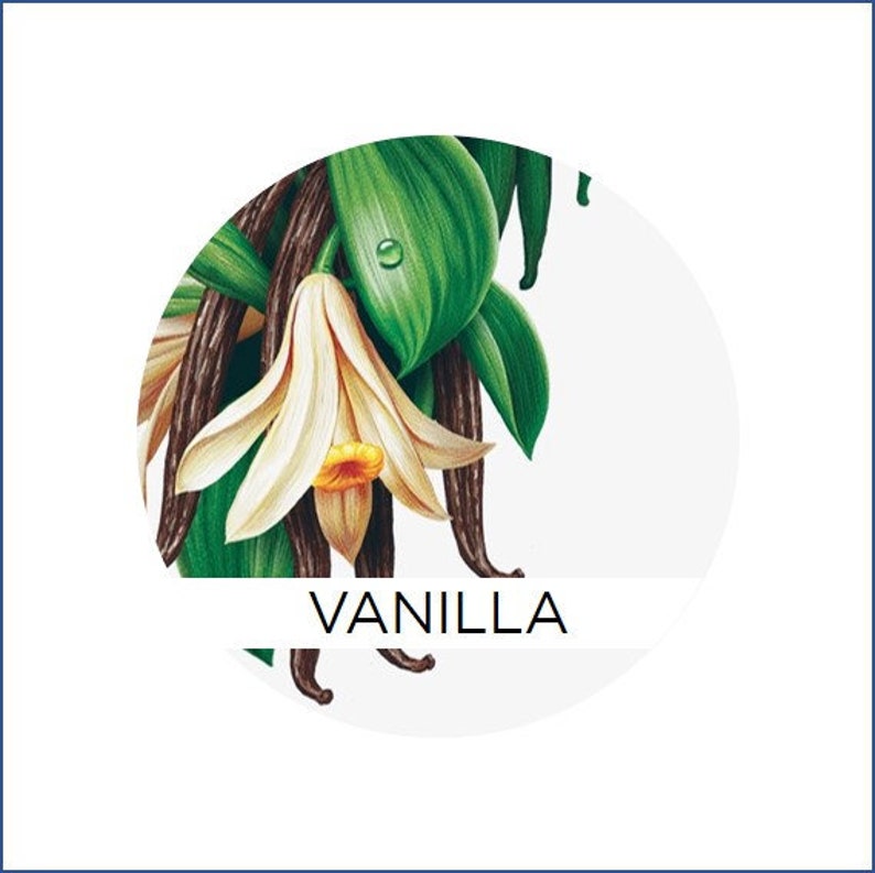 Botanical Spice Tin Labels round 3 Inches - Etsy