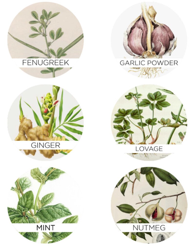 Botanical Spice Tin Labels round 3 Inches - Etsy