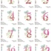 Numbers Embroidery Designs - Birthday Embroidery Design Machine ...