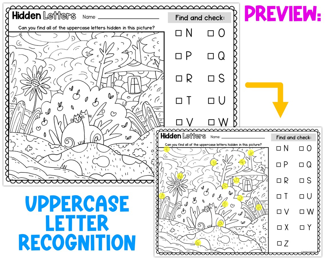 Alphabet Hidden Letters Pictures Letter Recognition - Etsy