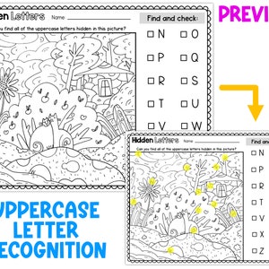 Alphabet Hidden Letters Pictures Letter Recognition - Etsy