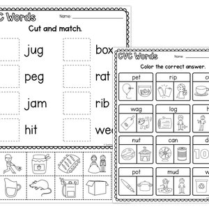 CVC Words Review Bundle CVC Word Families Phonics | Etsy