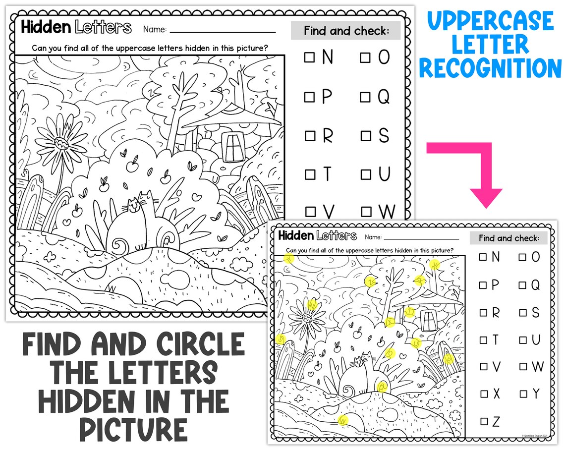 Alphabet Hidden Letters Pictures Letter Recognition - Etsy