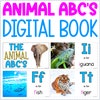 Letter of the Week A to Z Alphabet Curriculum for Preschool Pre-k and ...