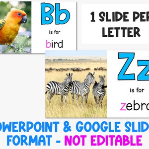The Animal Abc's Digital Book - Powerpoint and Google Slides Alphabet ...