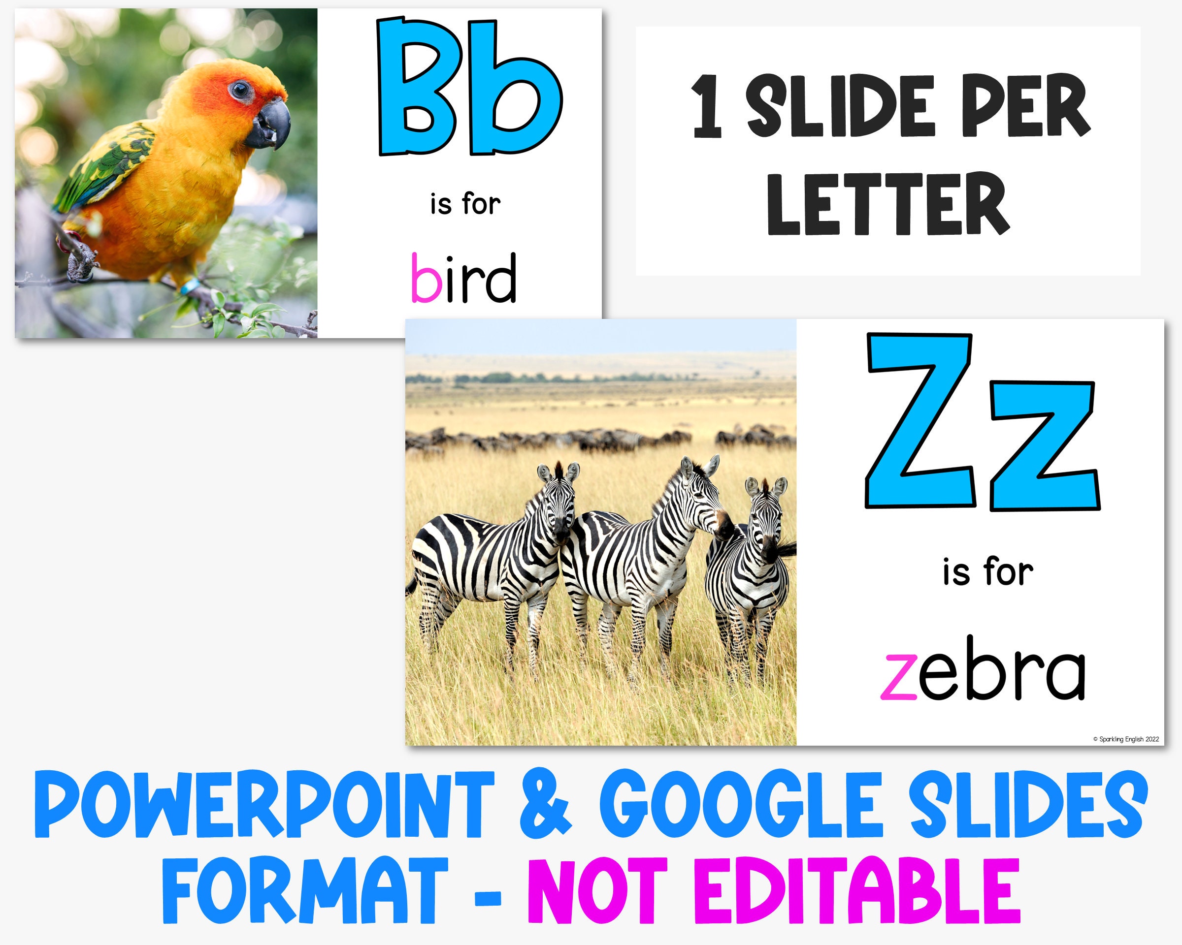 The Animal Abc's Digital Book - Powerpoint and Google Slides Alphabet ...