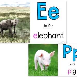 The Animal Abc's Digital Book - Powerpoint and Google Slides Alphabet ...