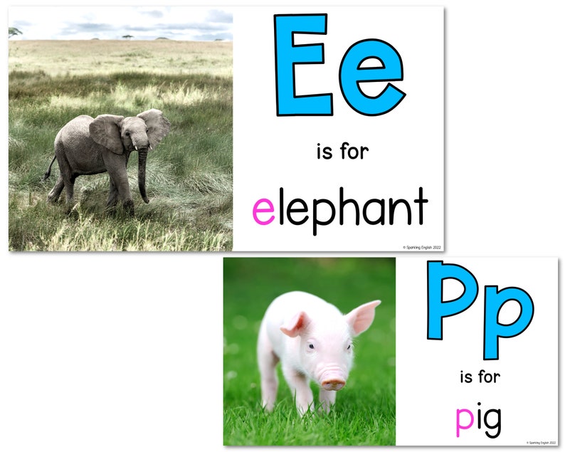 The Animal Abc's Digital Book - Powerpoint and Google Slides Alphabet ...