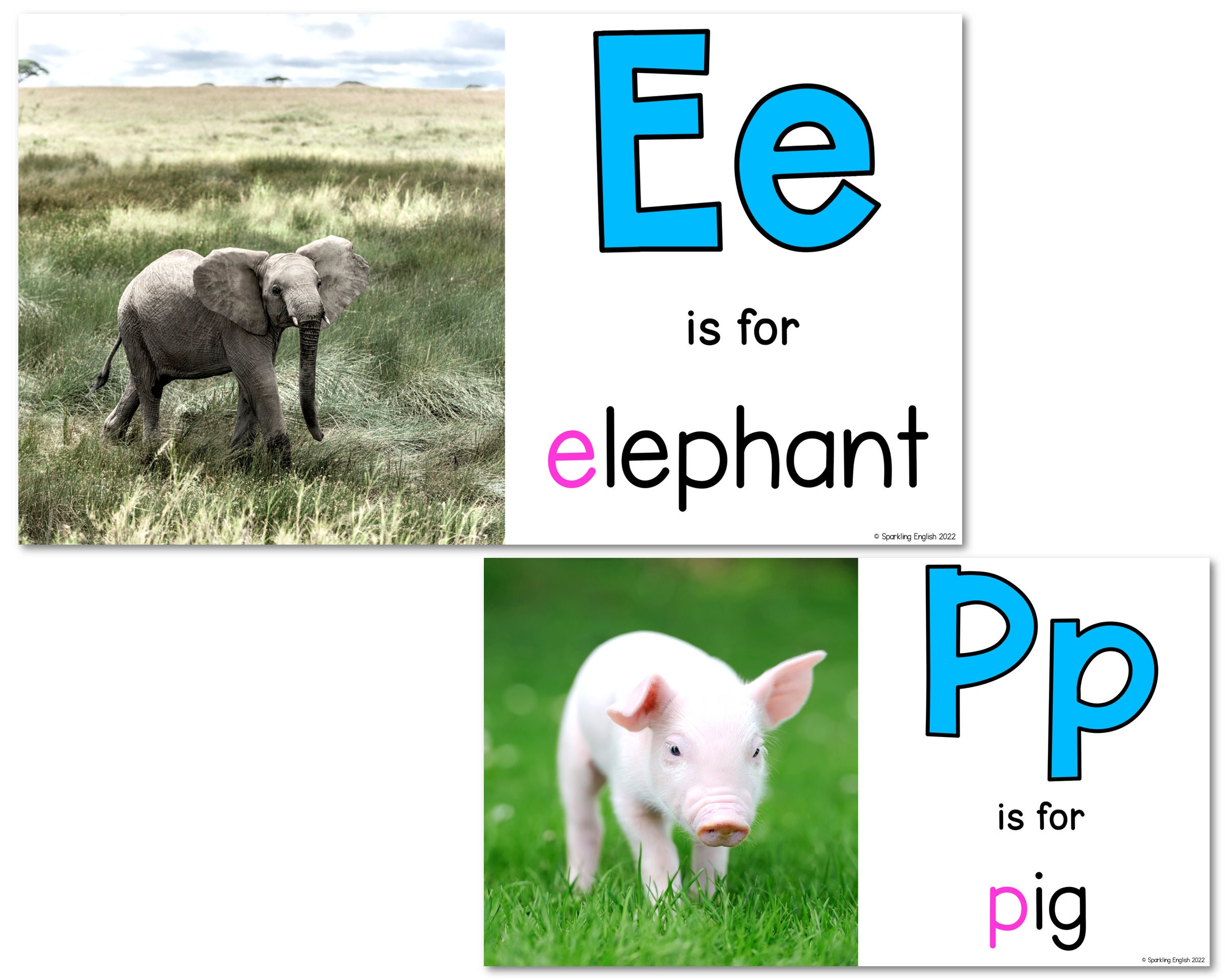 The Animal Abc's Digital Book - Powerpoint and Google Slides Alphabet ...