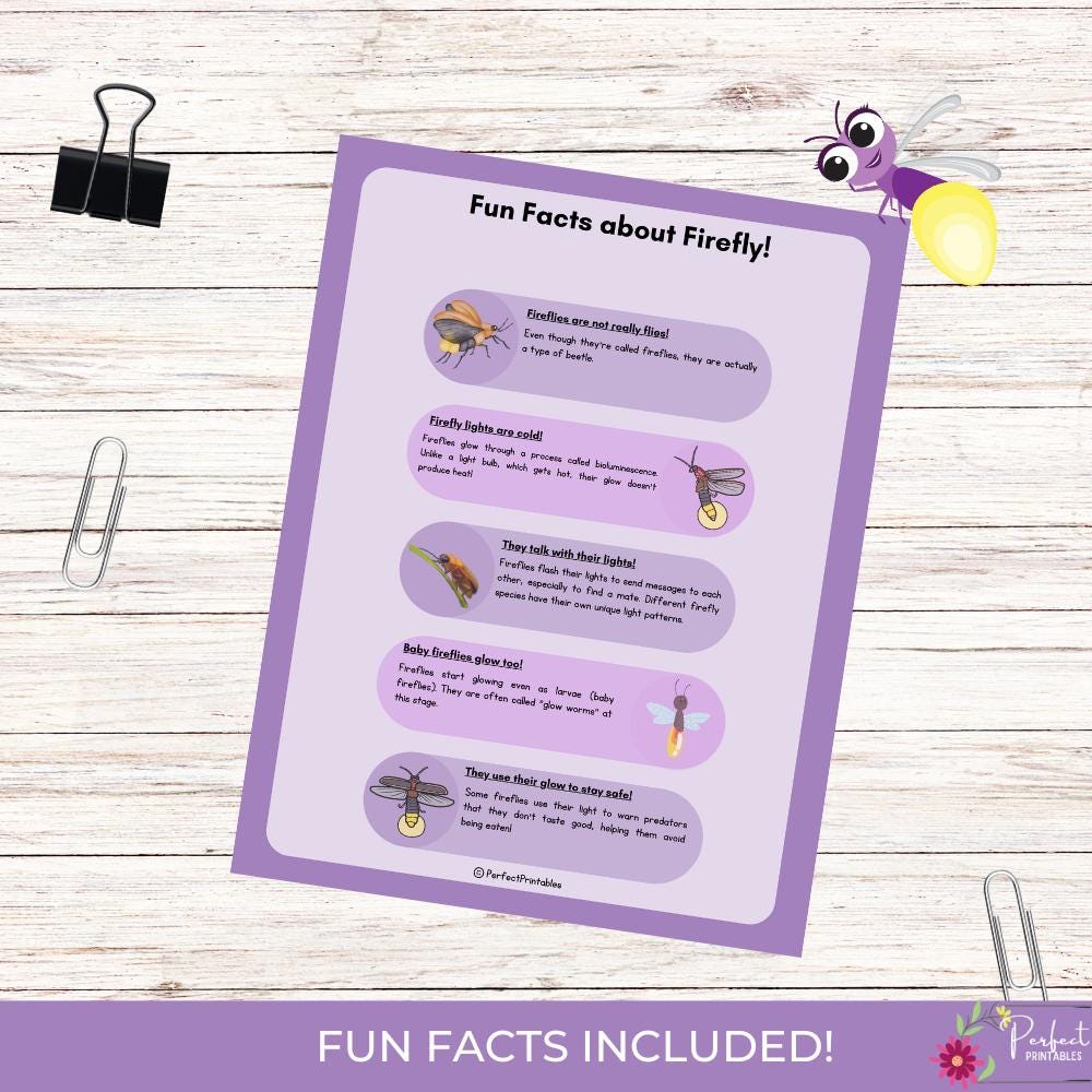 Life Cycle of a Firefly - Firefly Unit Study Worksheet With Fun Facts ...