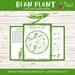 Life Cycle of a Bean Plant, Homeschool Nature & Botany Study Printable ...