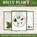 Life Cycle of a Holly Plant Worksheet | Christmas Plant Science Unit ...