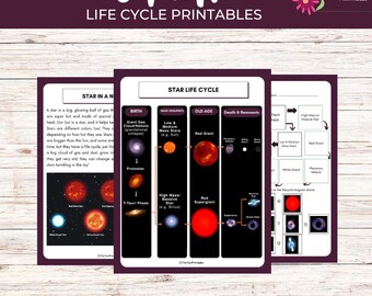 Life Cycle of a Star Unit - Etsy
