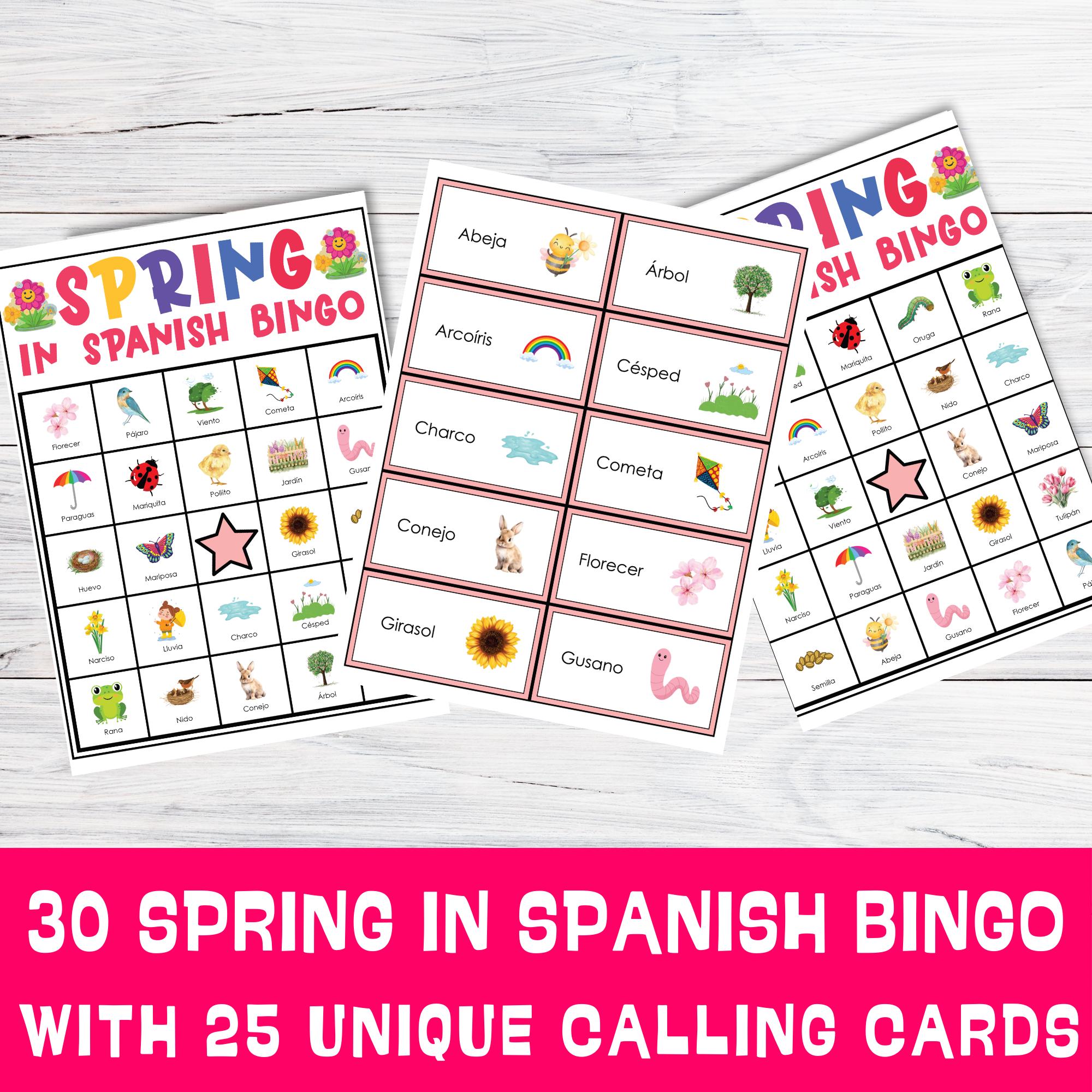 Spring in Spanish Bingo - Bingo De Primavera En Español | Printable ...