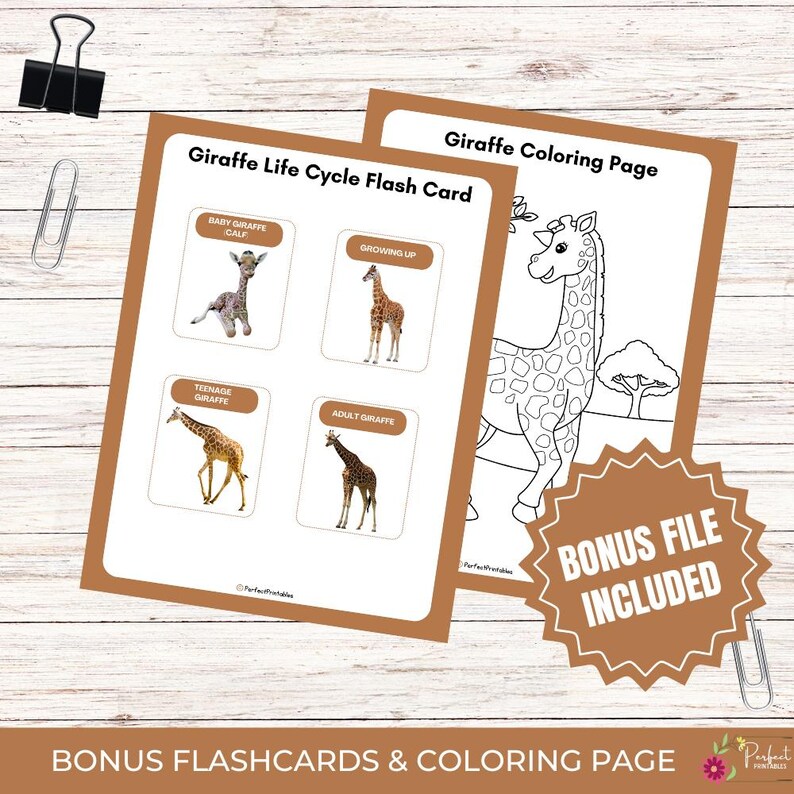Life Cycle of a Giraffe Worksheet - Animal Science Unit Study With Fun ...