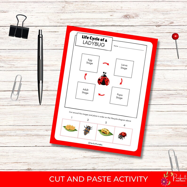 Life Cycle of a Ladybug | Homeschool Nature Study Printable, Insect ...