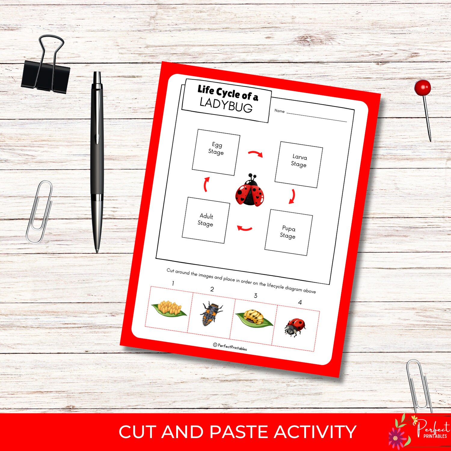 Life Cycle of a Ladybug | Homeschool Nature Study Printable, Insect ...