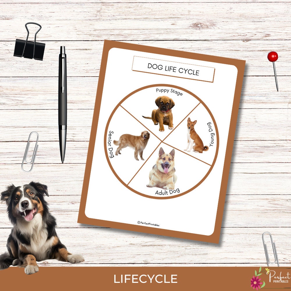 Life Cycle of a Dog, Homeschool Nature Study Printable Animal Life ...