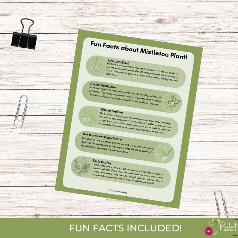 Life Cycle of a Mistletoe Worksheet | Christmas Plant Science Unit ...