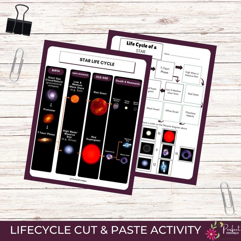 Life Cycle of a Star Unit Study Worksheet - Science & Astronomy Unit ...
