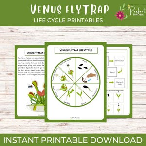 Life Cycle of a Venus Flytrap Worksheet- Plant Science Unit Study With ...