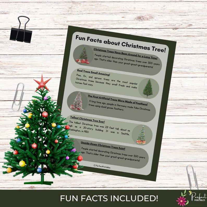 Life Cycle of a Christmas Tree Worksheet- Holiday Plant Science Unit ...