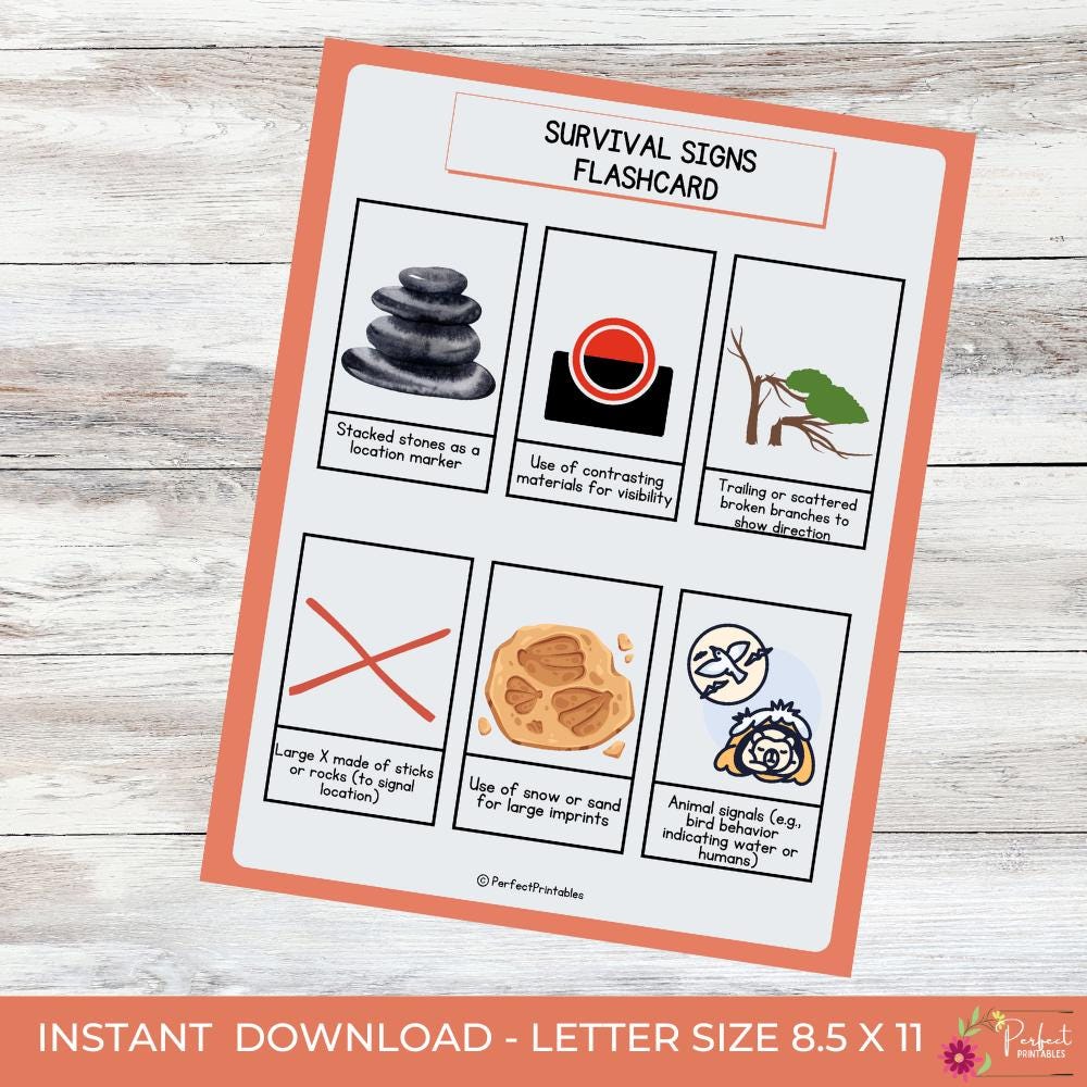 Survival Signs Flashcard | 30 Essential Visual Survival Signs for Kids ...