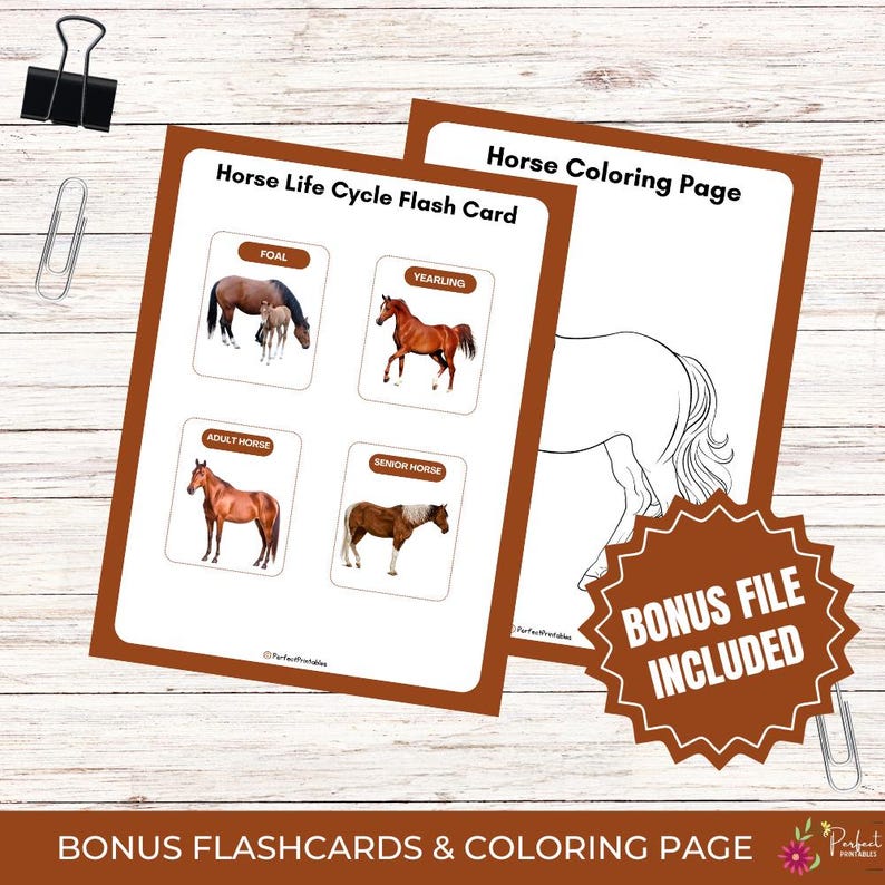 Life Cycle of a Horse Worksheet- Animal Science Unit Study With Fun ...