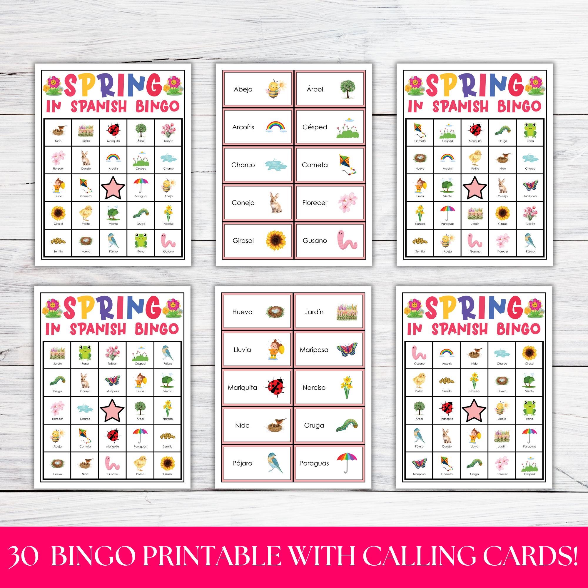 Spring in Spanish Bingo - Bingo De Primavera En Español | Printable ...